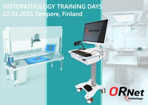 Gross Pathology: An In-depth Overview – ORNet